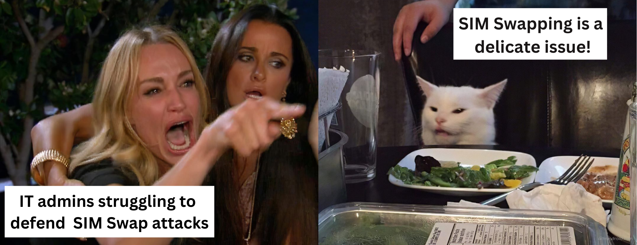 Defend SIM Swapping Attacks on Microsoft 365 Users With Strong MFA Methods